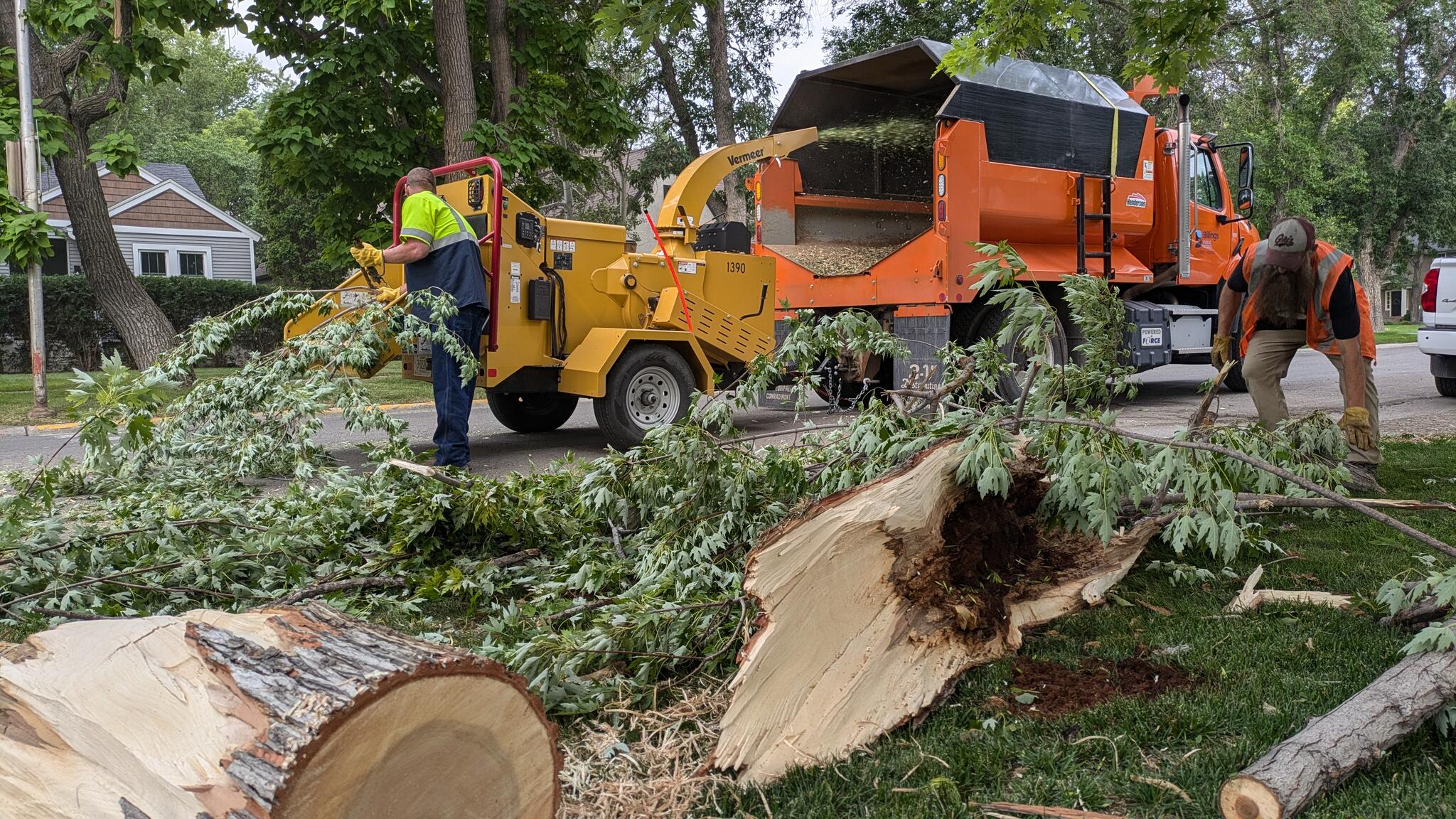 🦺City crews continue to clean up after the recent storm event, with ...