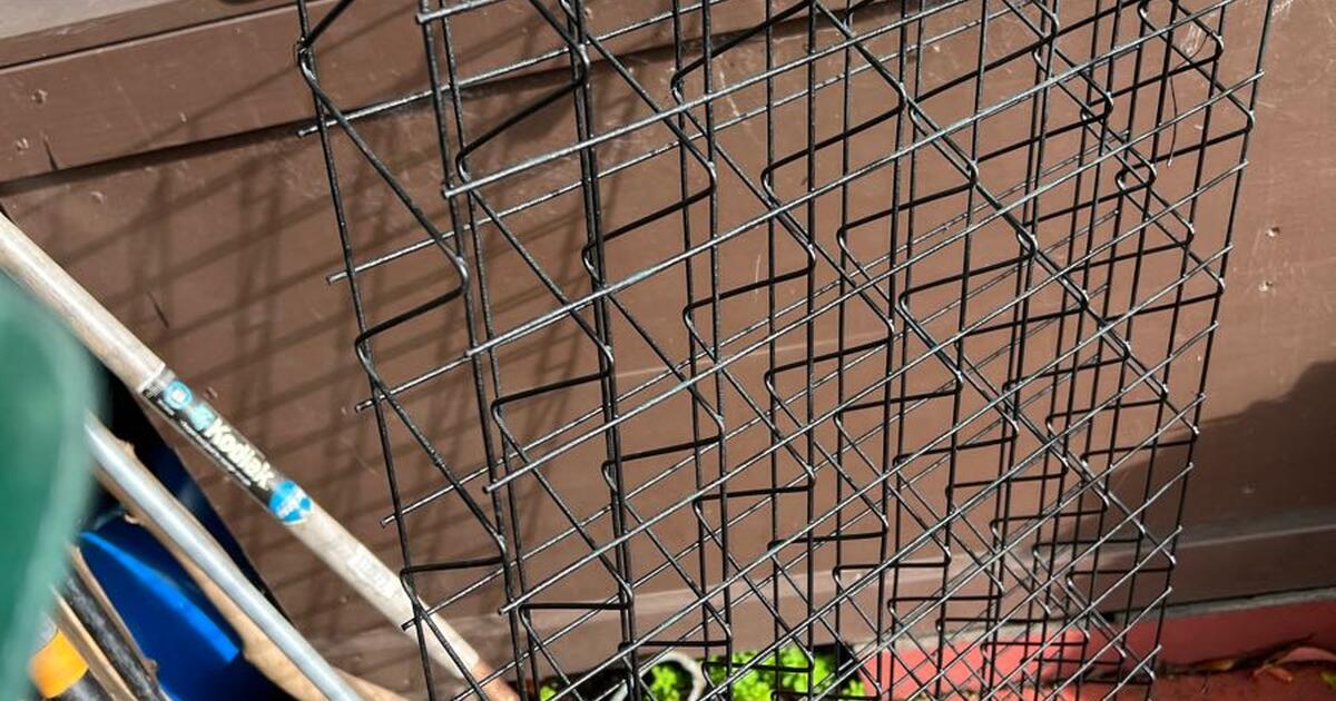 Wire panels for garden trellises for Free in San Mateo, CA | For Sale & Free — Nextdoor