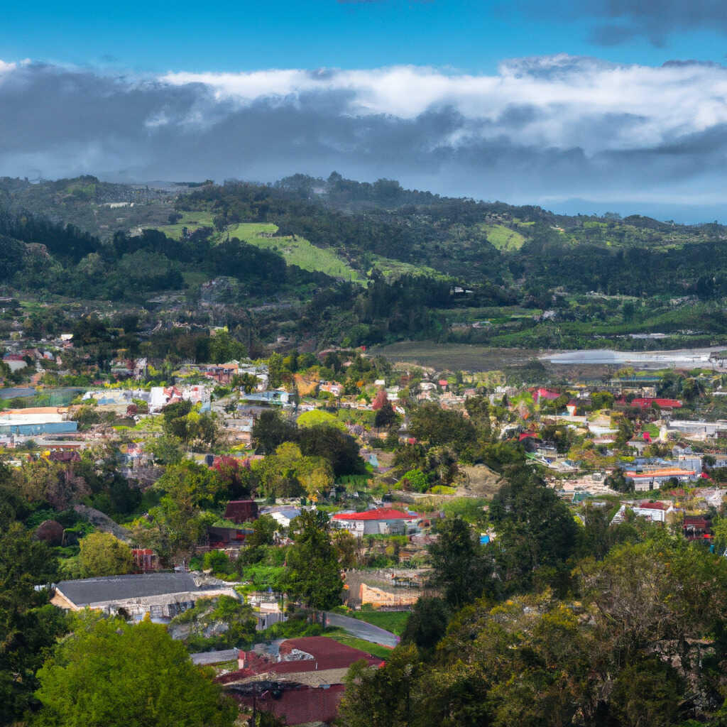 Fitzpatrick Lane, Occidental | Everything You Need to Know