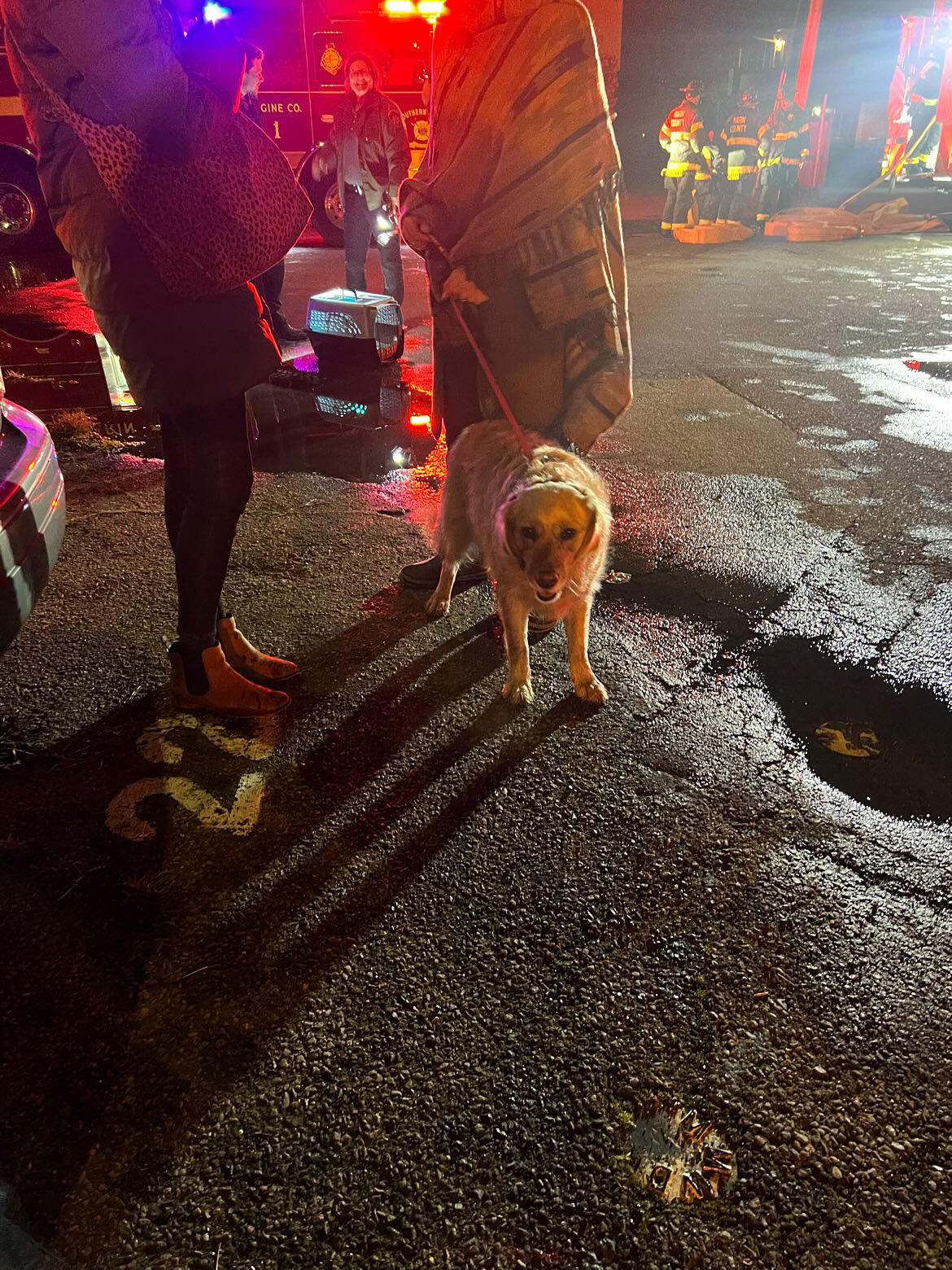 In an intense moment for SMFD and supporting fire crews, E7 rapidly put ...