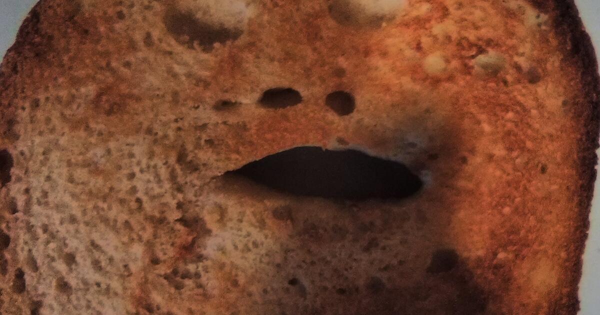 Bagel Face for Free in Arlington Heights, IL | For Sale & Free — Nextdoor