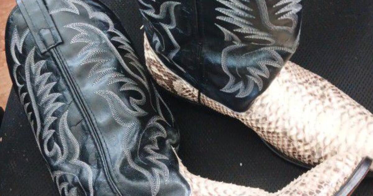 Mens Python Snake Cowboy Boots for $100 in Clearwater, FL | For Sale ...