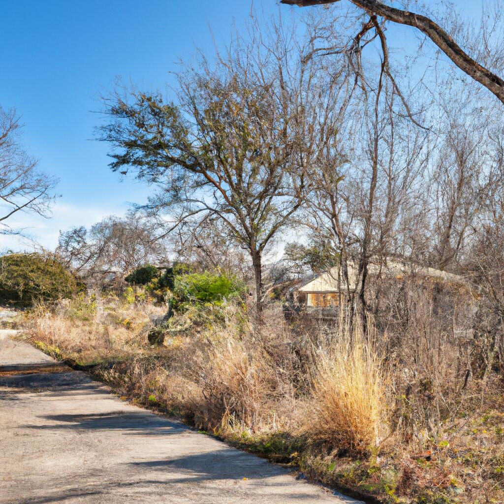 Tanglewood Forest, Austin | Everything You Need to Know