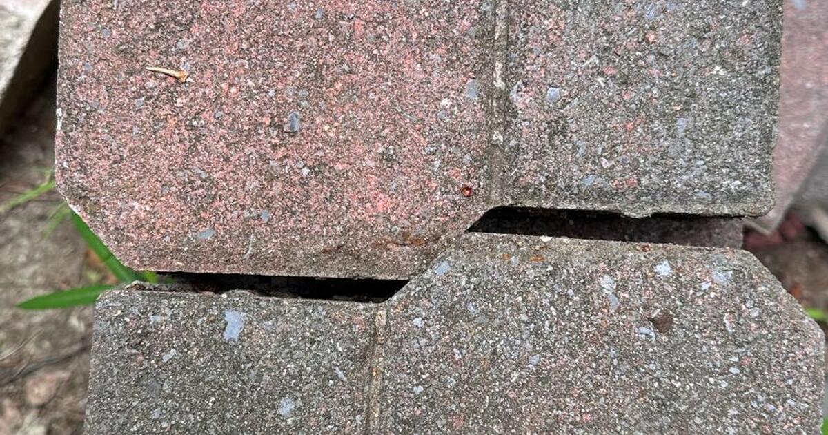 Patio Locking Bricks-Free in Richmond, VA | For Sale & Free — Nextdoor