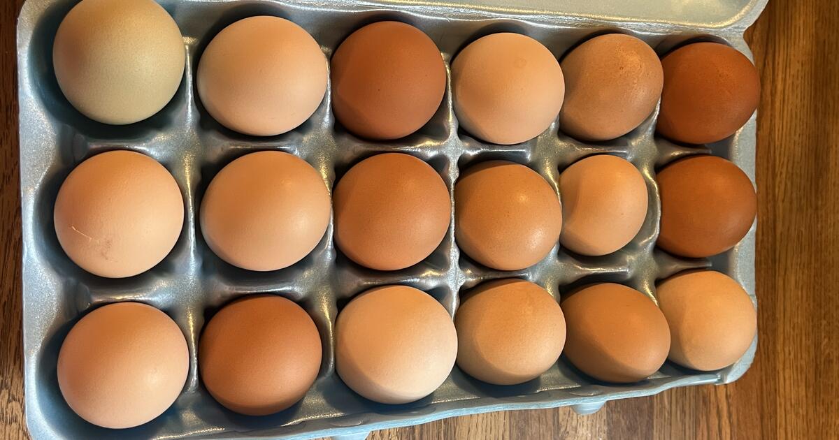 Fresh Eggs for Sale for $3 in Hamilton, GA | For Sale & Free — Nextdoor