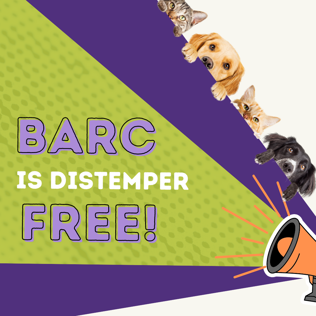 HOUSTON – BARC, the City of Houston's Animal Shelter and Adoption ...