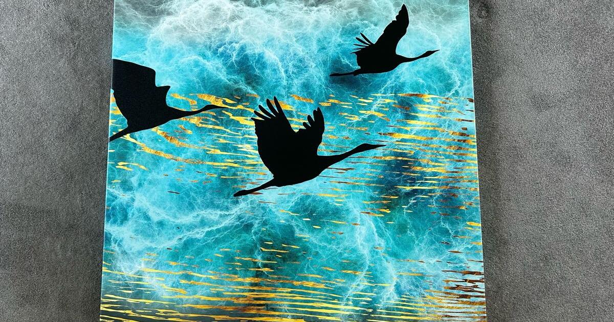 Large Wrapped Canvas Artwork for $30 in The Villages, FL | For Sale ...