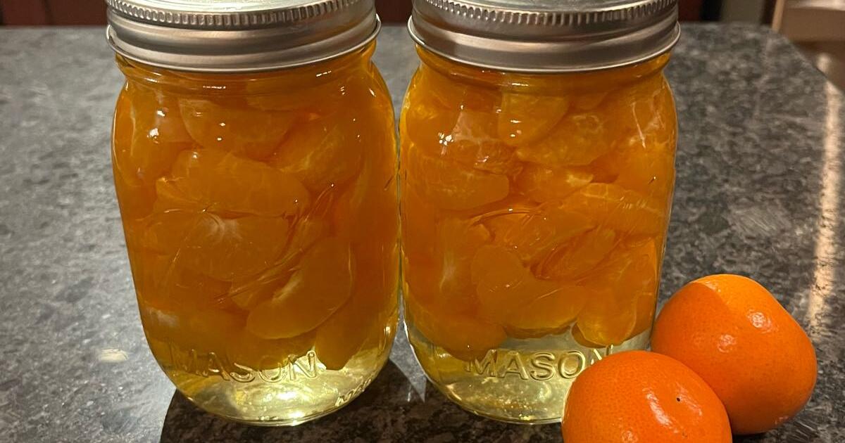 Homemade Canned Organic Mandarin Oranges for $10 in Lake Geneva, WI ...