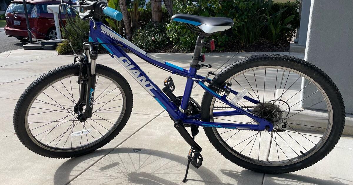Trek 21-speed youth boy’s mountain bike, 24 inch frame for $100 in ...