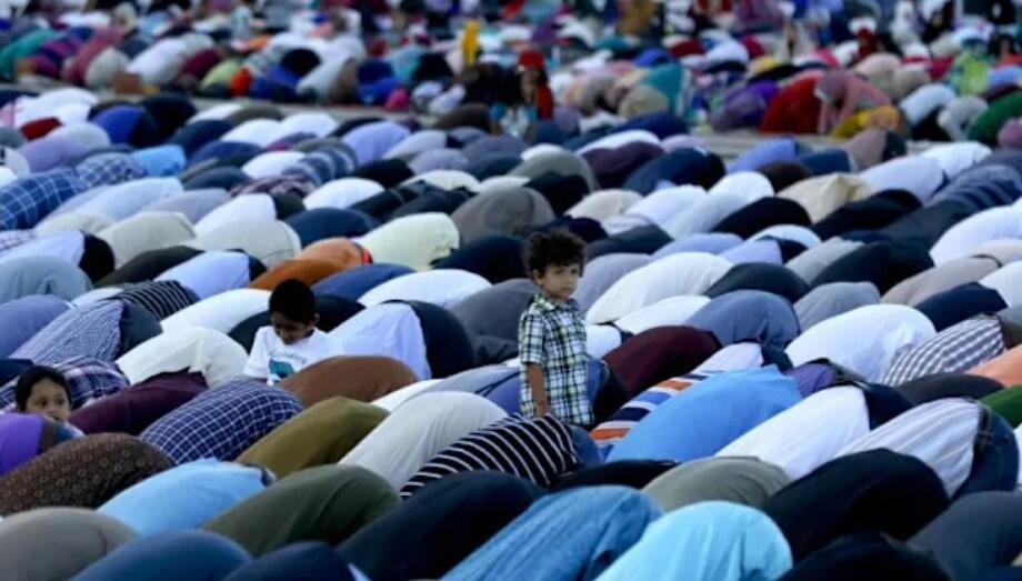 Bella Vista, Gilbert | Everything You Need to Know