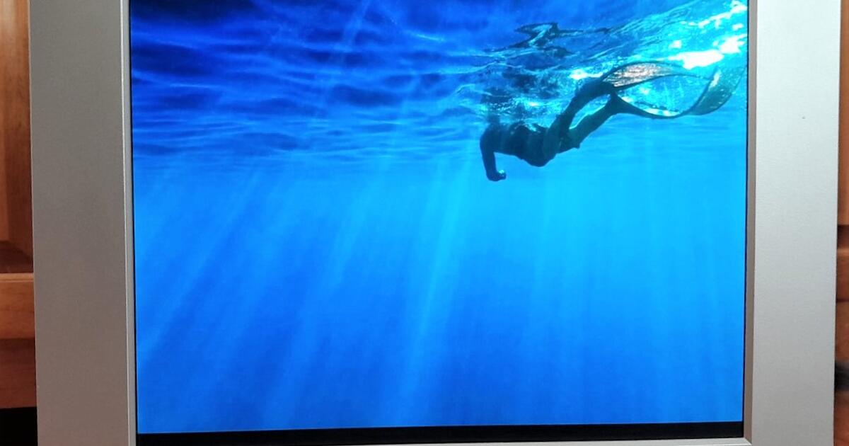 17” Microtek C-783 LCD Monitors for $40 in Glendale, CA | For Sale ...