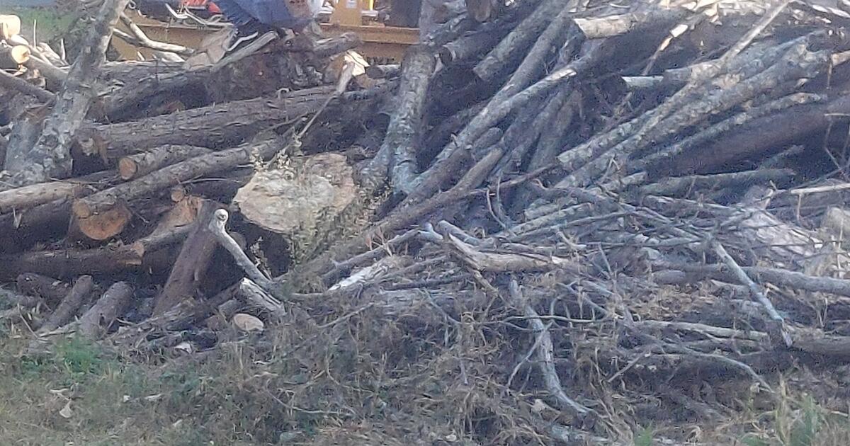 Seasoned Split Hardwood Mixed Firewood For Sale And Pine Chunks Free Or ...