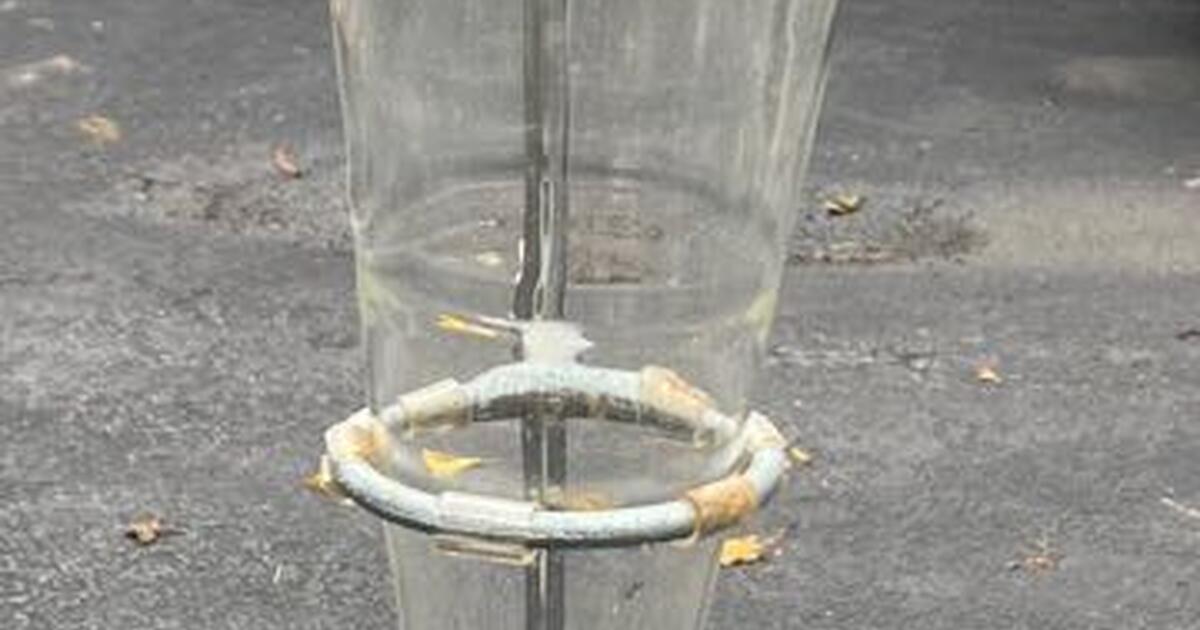 Large Glass Funnel with Stand for $5 in Pittsford, NY | For Sale & Free ...
