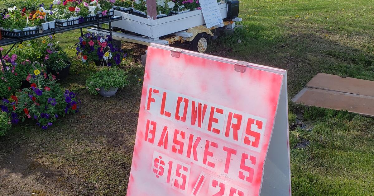 Flowers BOGO for $15 in Akron, NY | For Sale & Free — Nextdoor