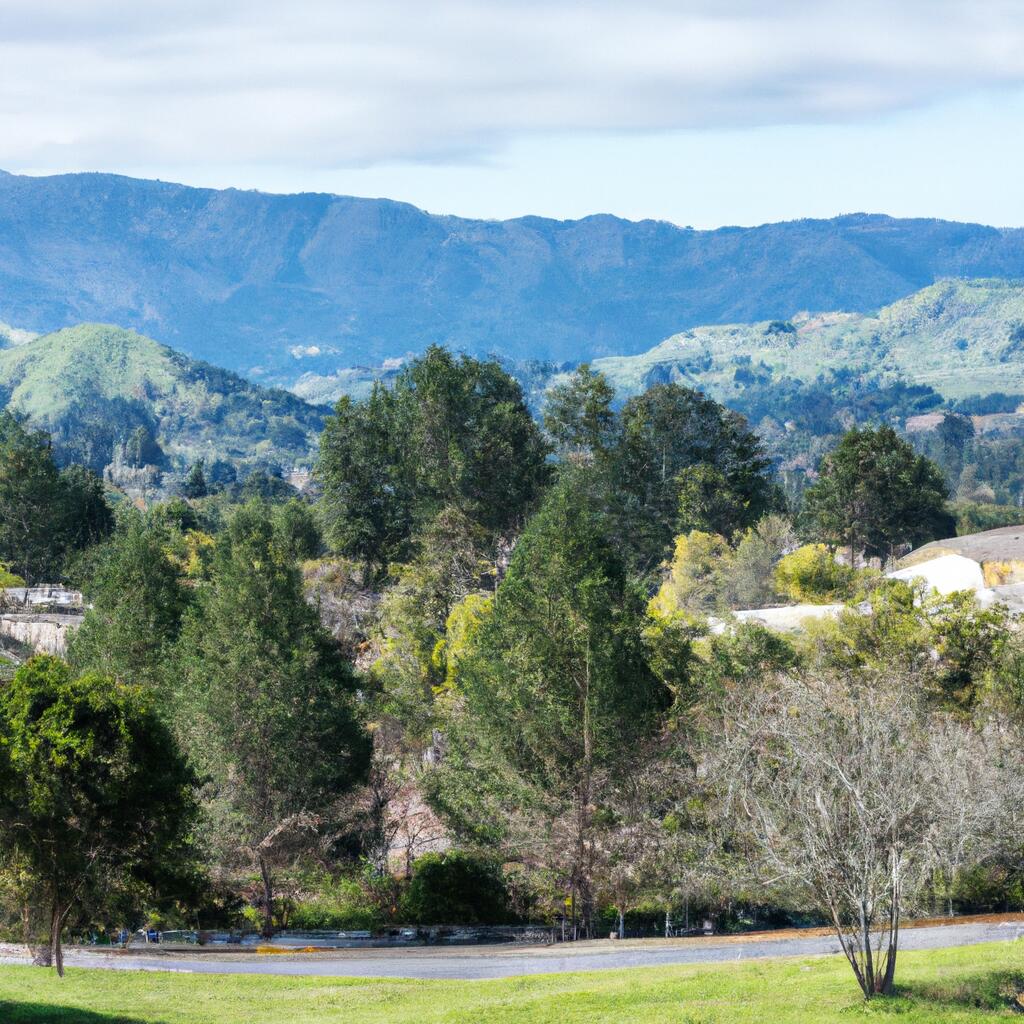 Bishop Ranch, San Ramon | Everything You Need to Know