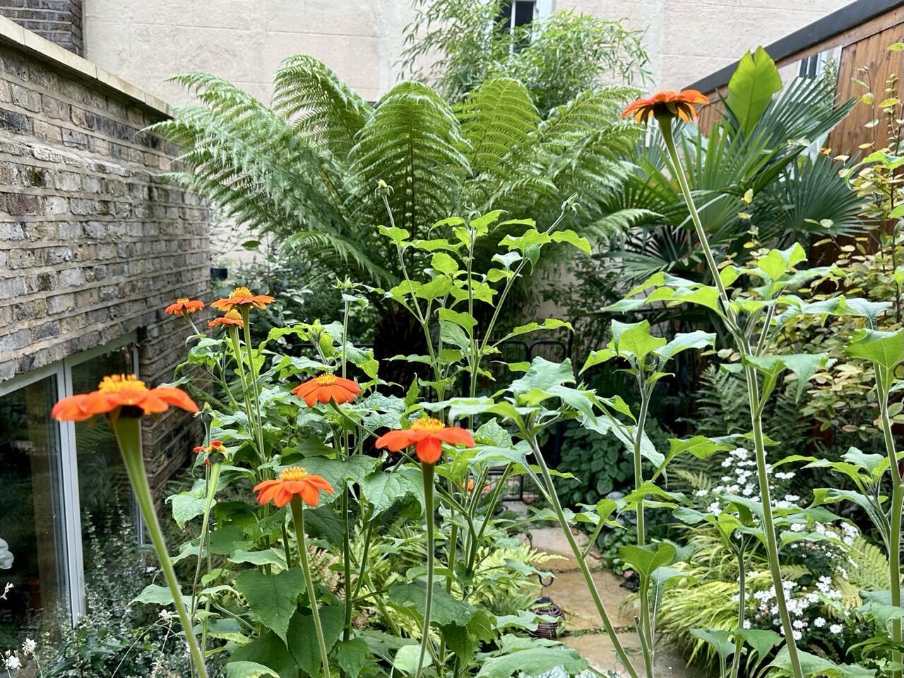 Welling, London | Everything You Need to Know