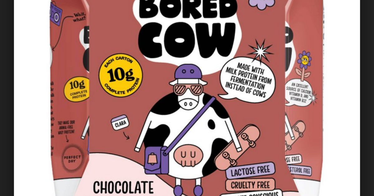 UNOPENED 4 pack Bored Cow Animal-Free Dairy Milk Chocolate - 4pk/44oz ...