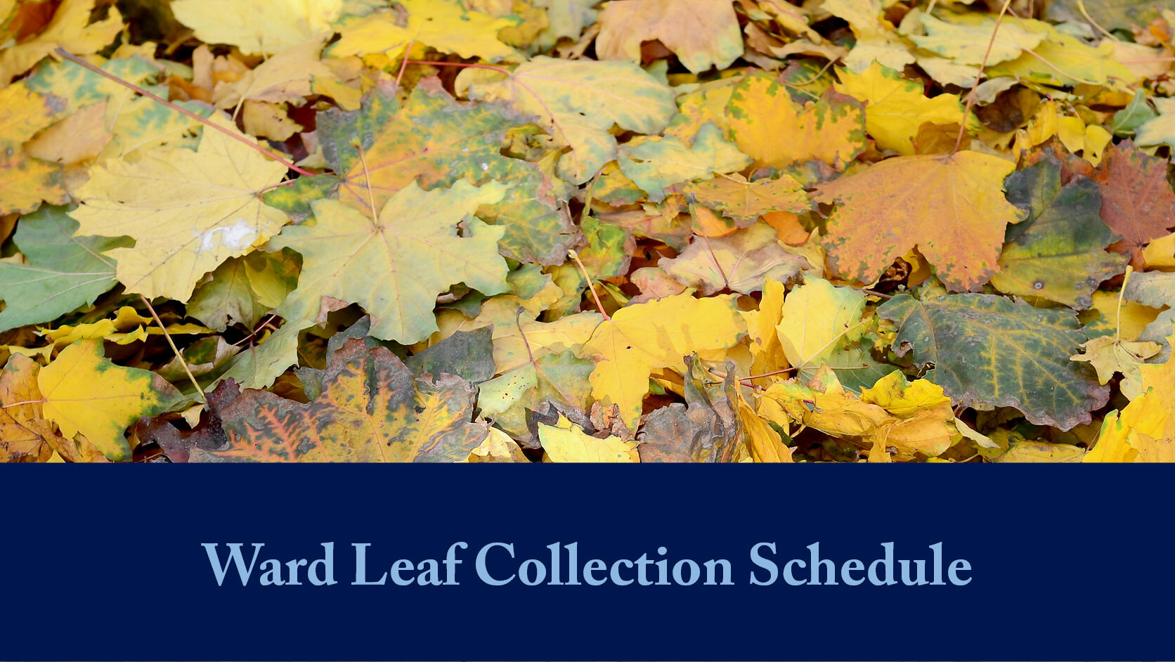 Ward Leaf Collection Schedule (City of Lynchburg) — Nextdoor — Nextdoor