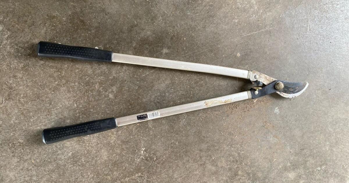 Pruning shears - free for pickup for Free in Los Altos, CA | Finds ...