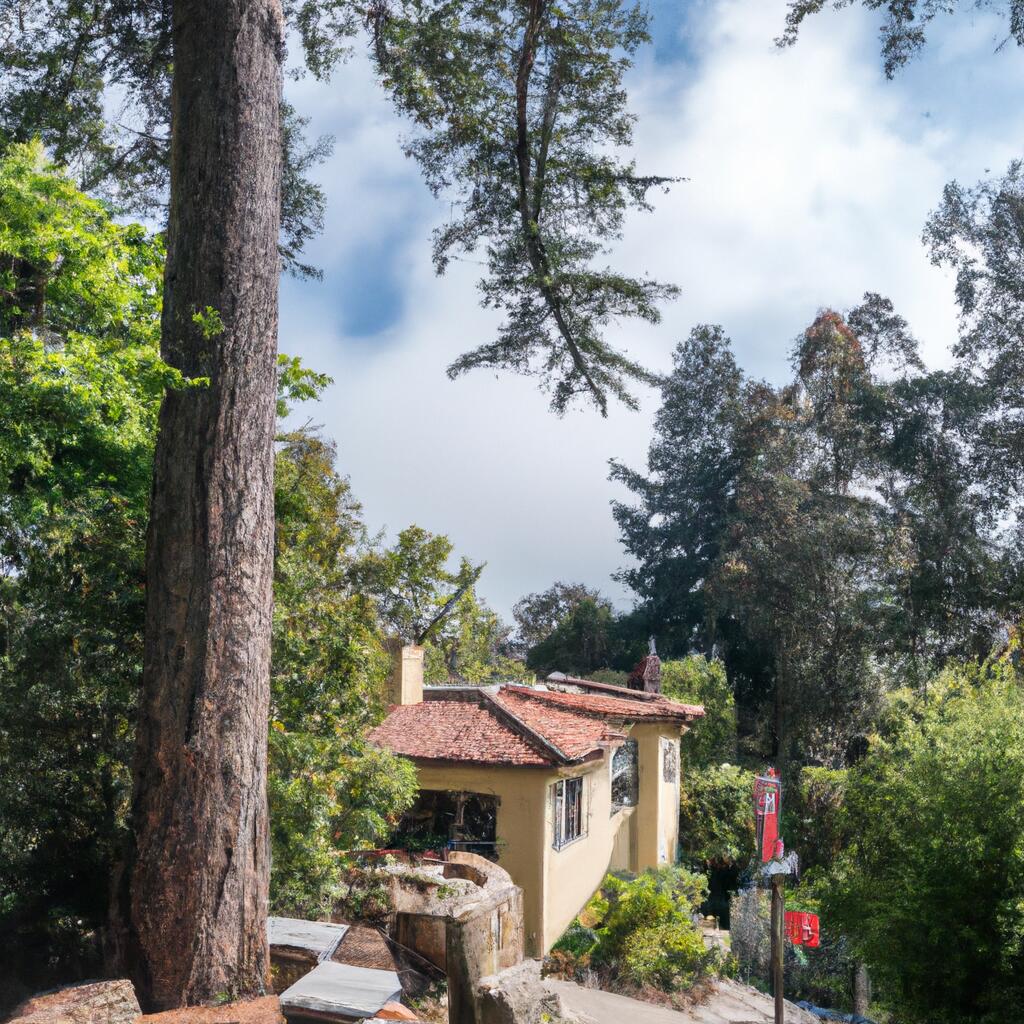 Poet's Corner, Berkeley | Everything You Need to Know