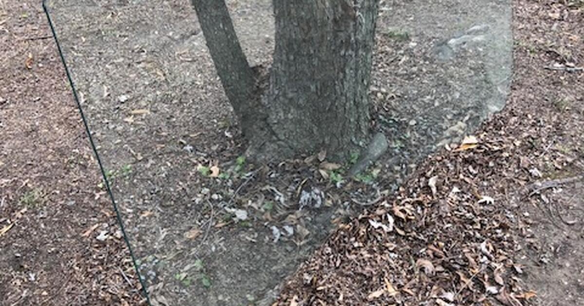 Free Large Glass Pane for Free in Germantown, TN | For Sale & Free ...