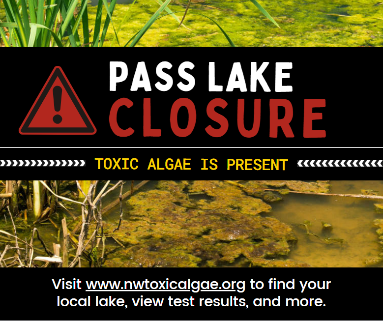 Toxic Algae- Pass Lake and Lake Campbell Information (Skagit County ...