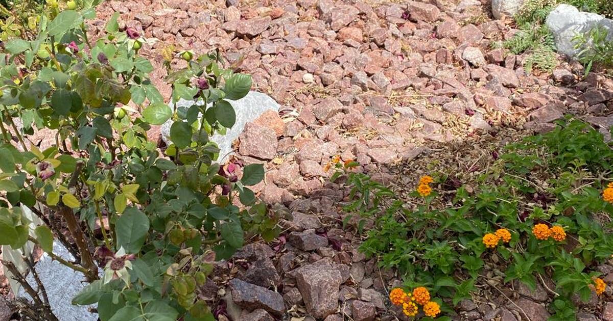 5+ tons of Free rocks & large river rocks for Free in Las Vegas, NV ...
