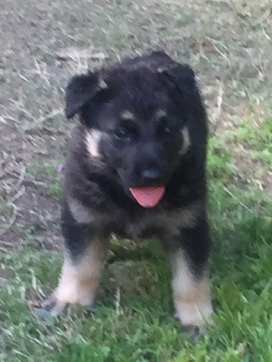 Boxtown, Memphis | Everything You Need to Know Nextdoor