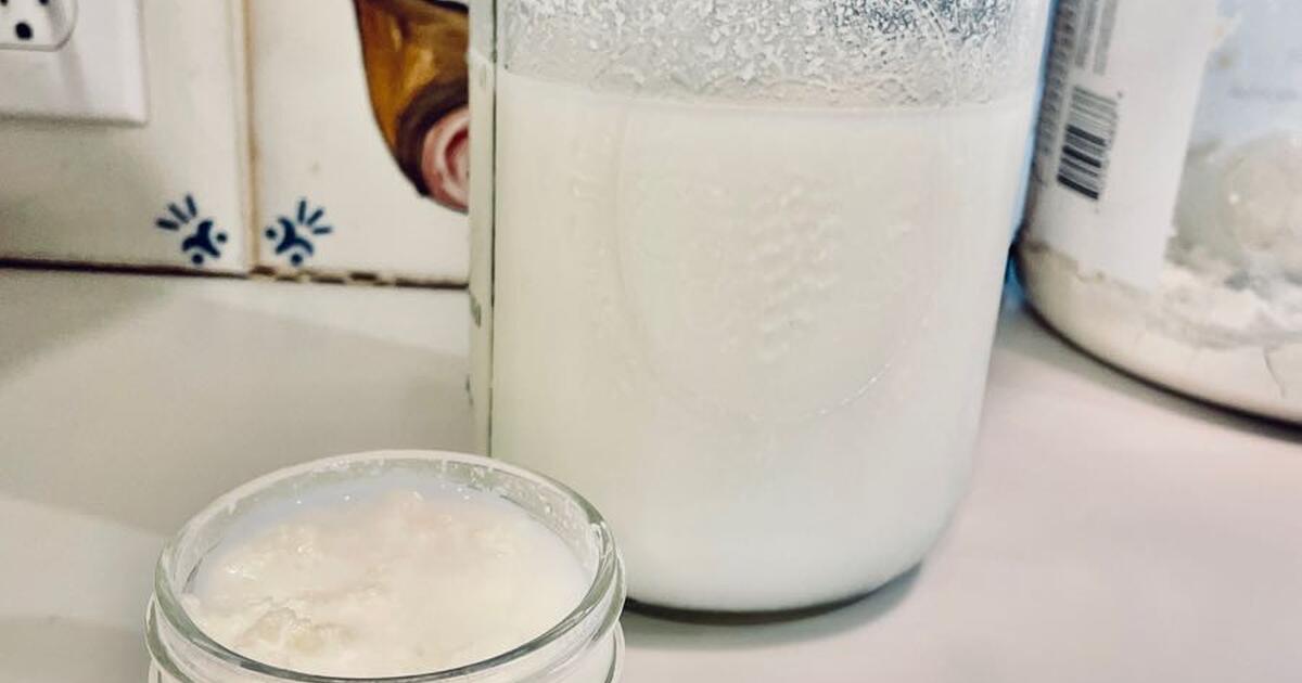 Kefir Grains for Free in Baltimore, MD | For Sale & Free — Nextdoor