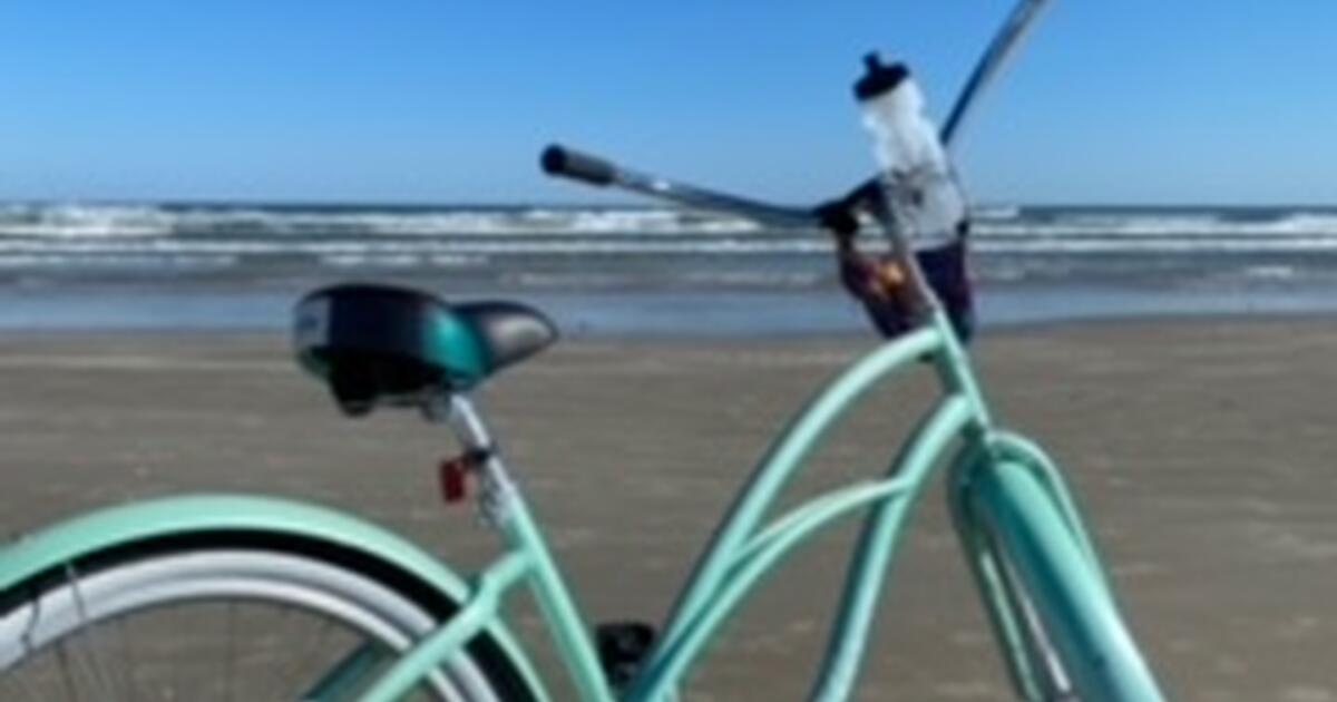 Trek Electra 26" Townie/Cruiser One Speed for $400 in Fredericksburg, TX | For Sale & Free ...