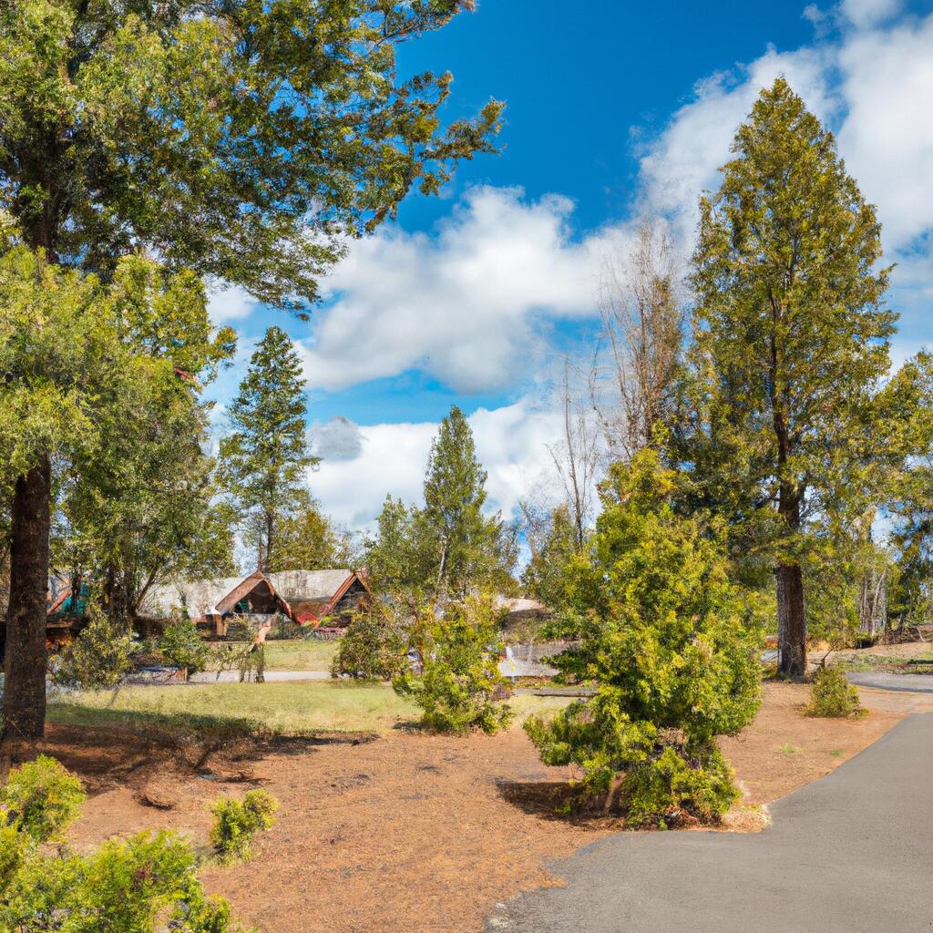 Woodside Ranch, Bend | Everything You Need to Know Nextdoor