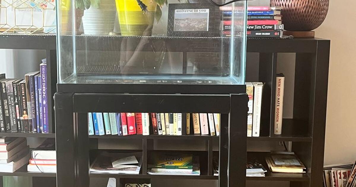 Turtle Tank + Stand (accessories and food included) for $100 in ...