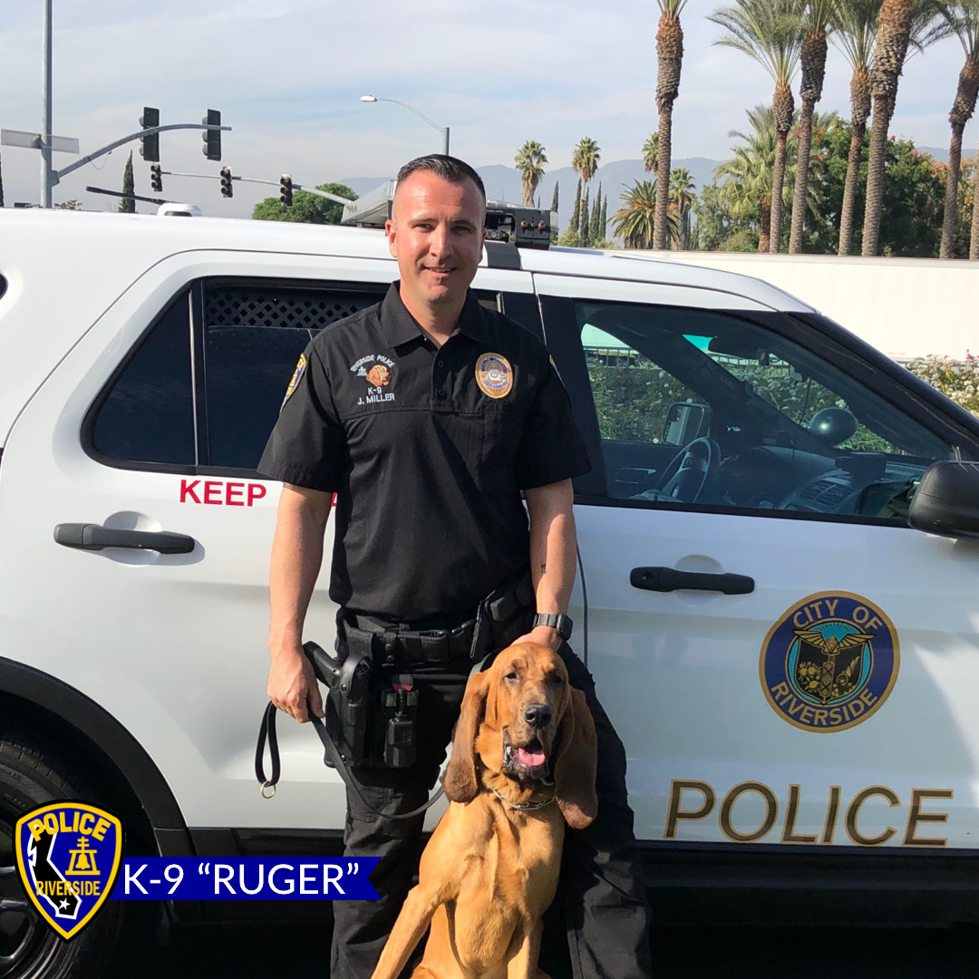 PURSUIT SUSPECT APPREHENDED (Riverside Police Department) — Nextdoor ...