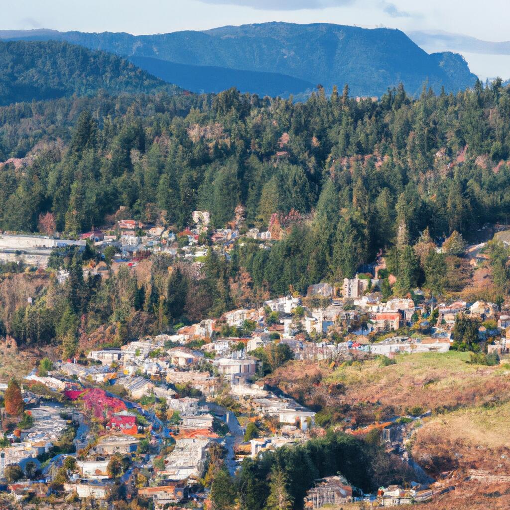 Issaquah Valley, Issaquah | Everything You Need to Know