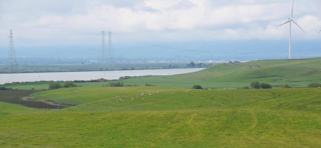 Trilogy, Rio Vista | Everything You Need to Know