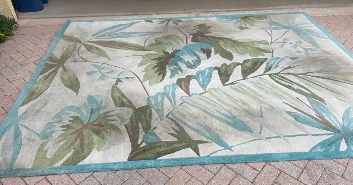 Rug for Free in Parrish, FL | For Sale & Free — Nextdoor