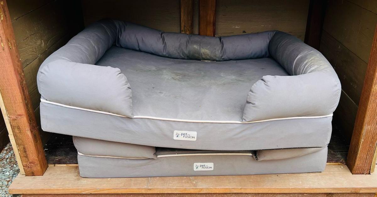 XXL Dog Beds For Sale For 30 In San Luis Obispo CA For Sale Free