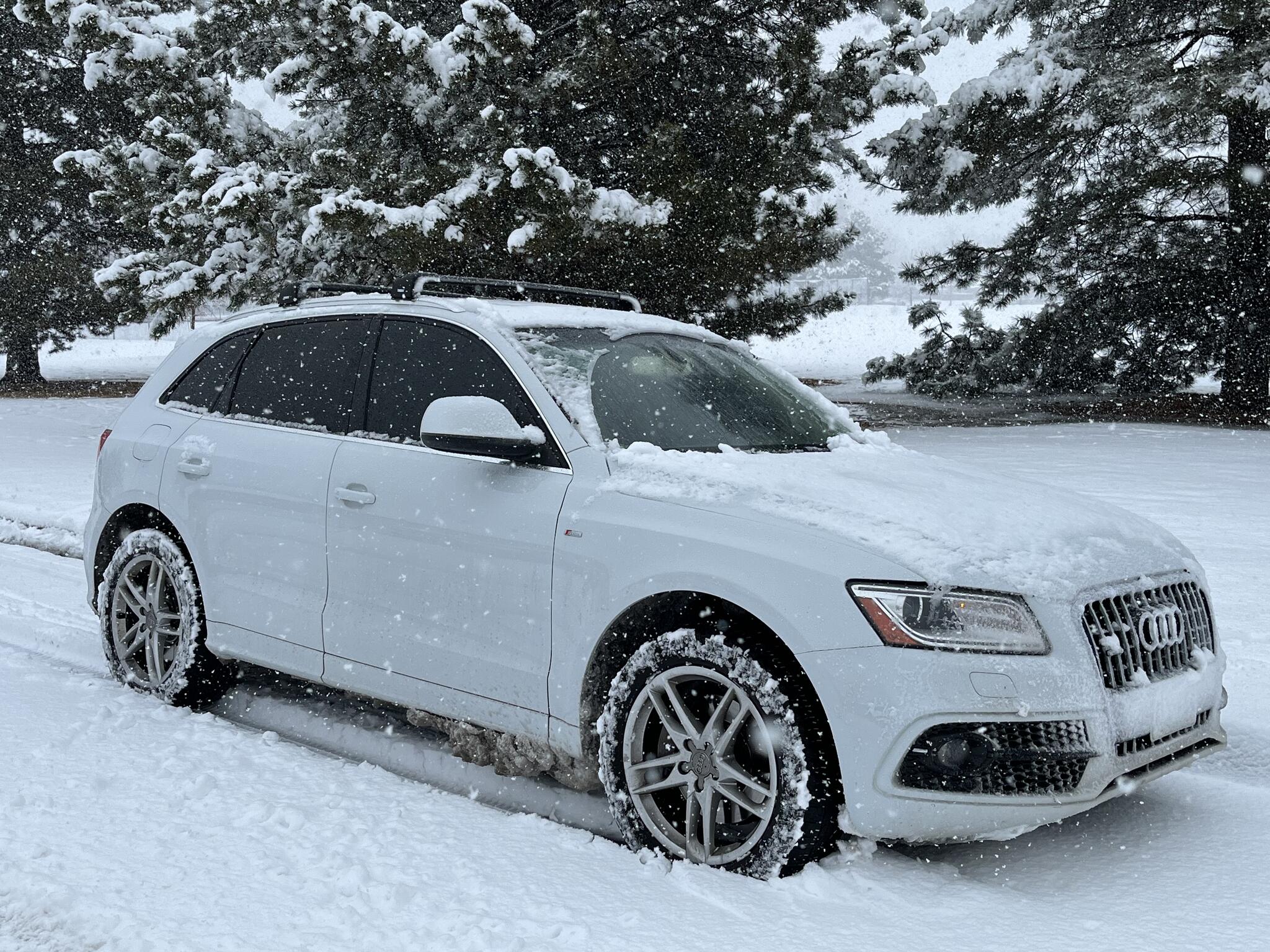 Audi Q5 In Snow