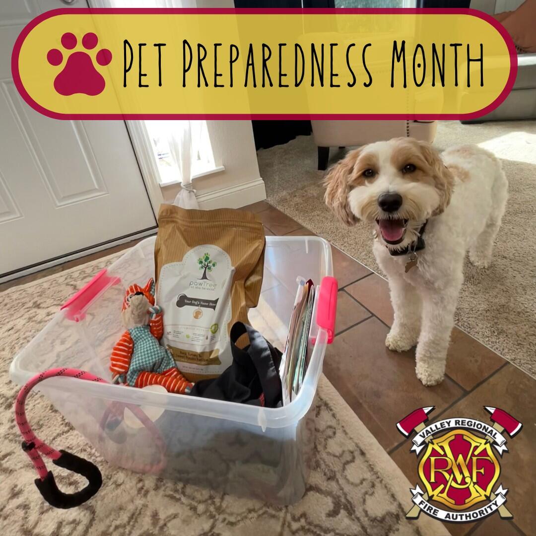 During National Pet Preparedness Month, pet owners are encouraged to ...