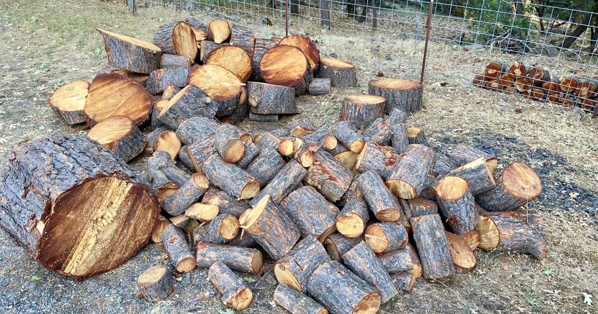 Pine rounds for Free in Meadow Vista, CA | For Sale & Free — Nextdoor