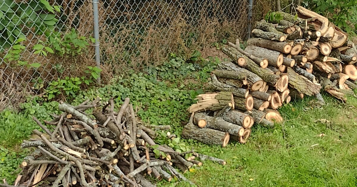 FREE WALNUT FIREWOOD in Grand Rapids, MI | For Sale & Free — Nextdoor