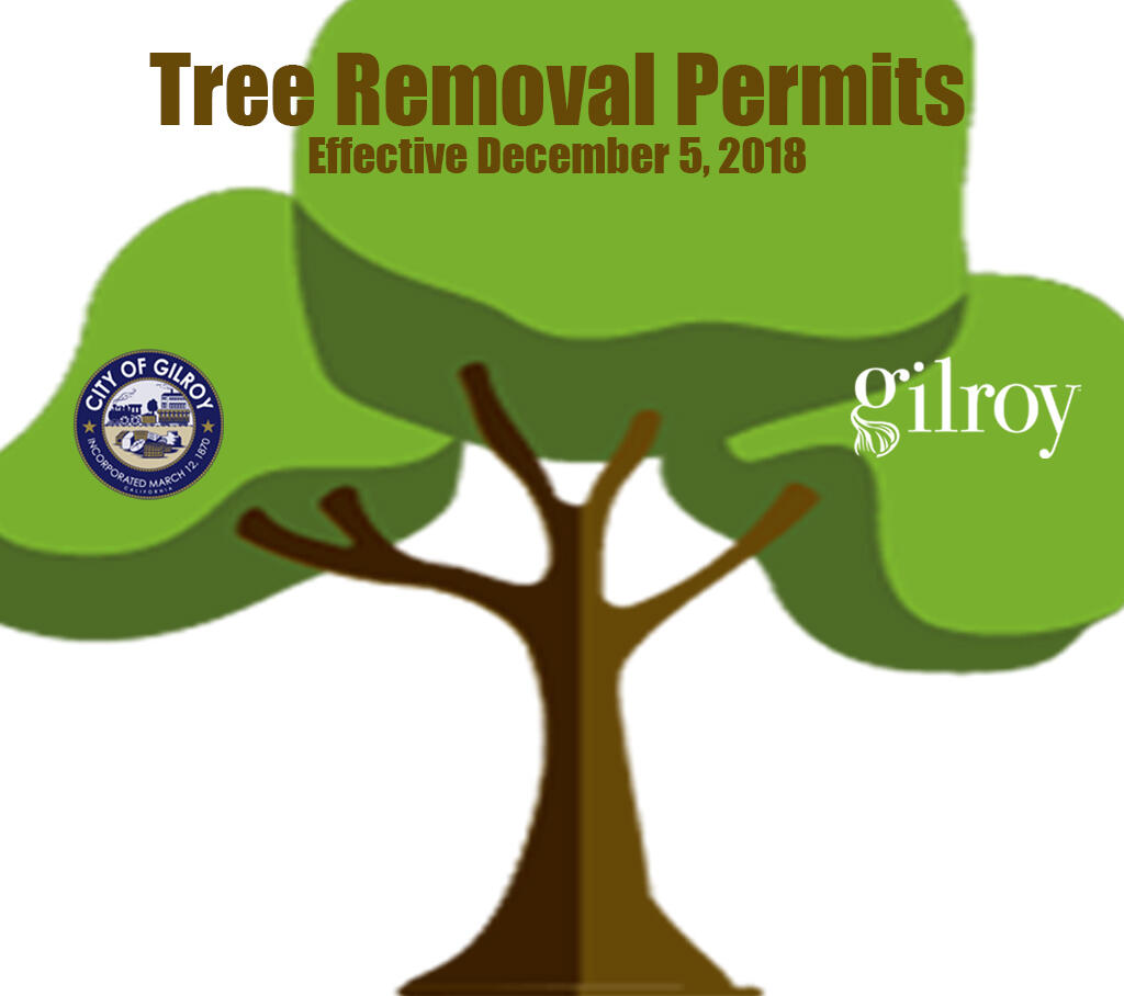tree-removal-permits--of-gilroy-nextdoor-nextdoor