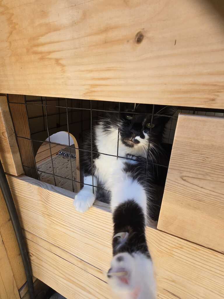 Rod creative mind - San Diego, CA - Nextdoor