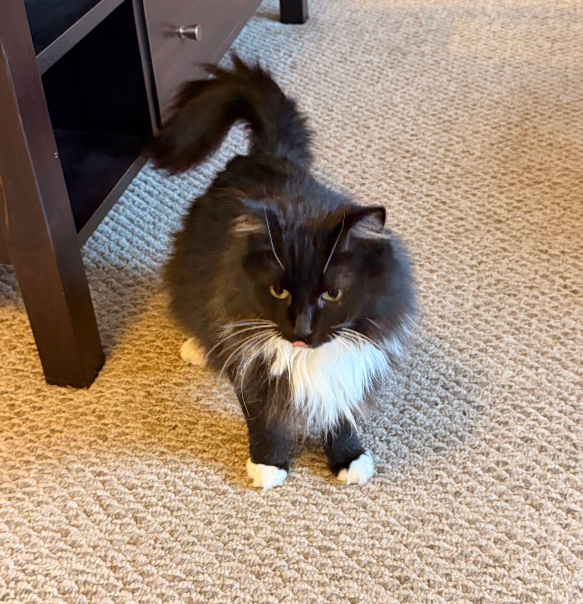 Free Finds in Denver, CO | For Sale & Free — Nextdoor