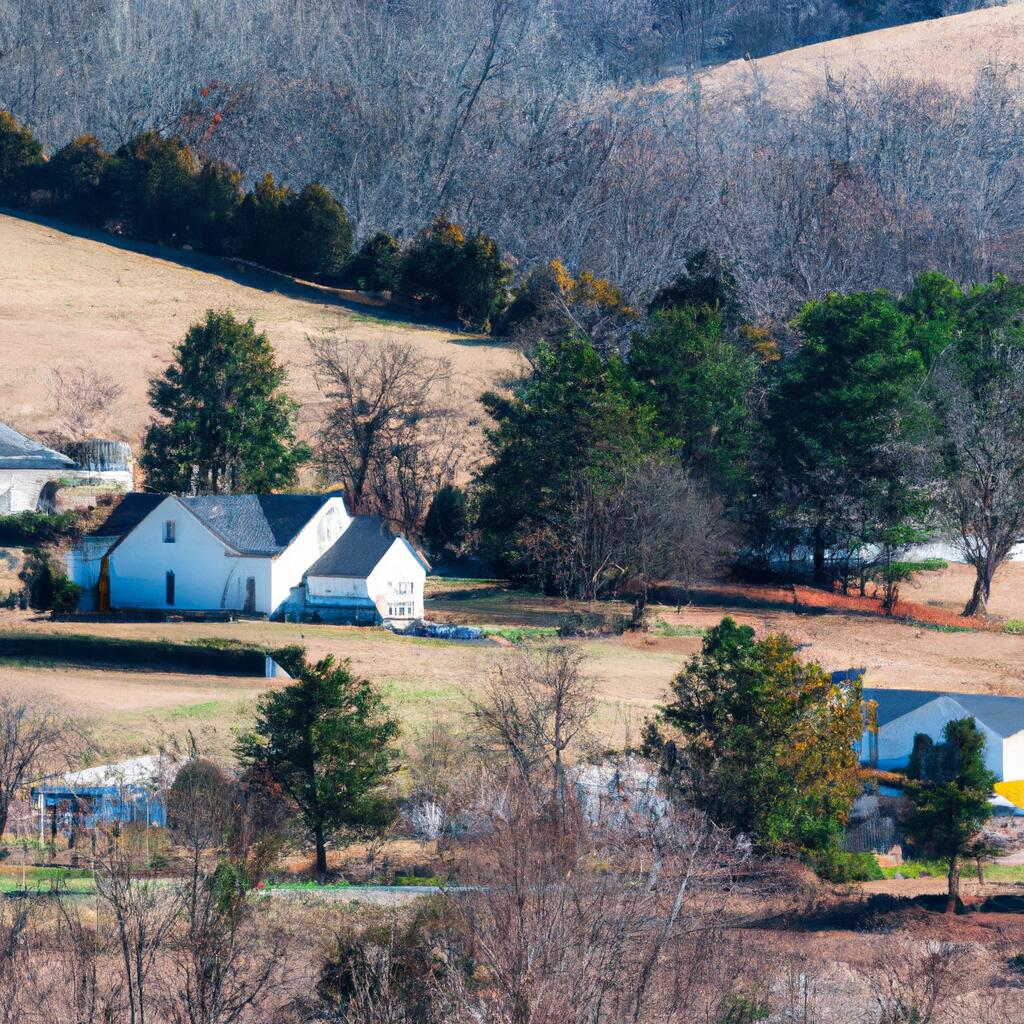 Southern Clarke, Boyce | Everything You Need to Know