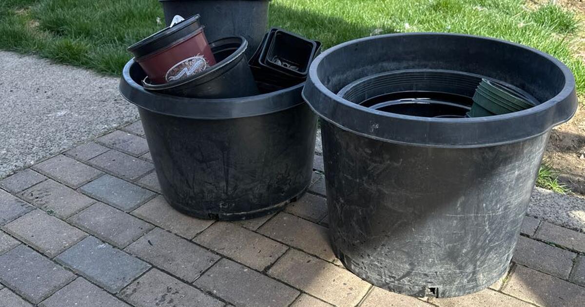 Free plastic assortment of plant pots for Free in Portland, OR | For ...
