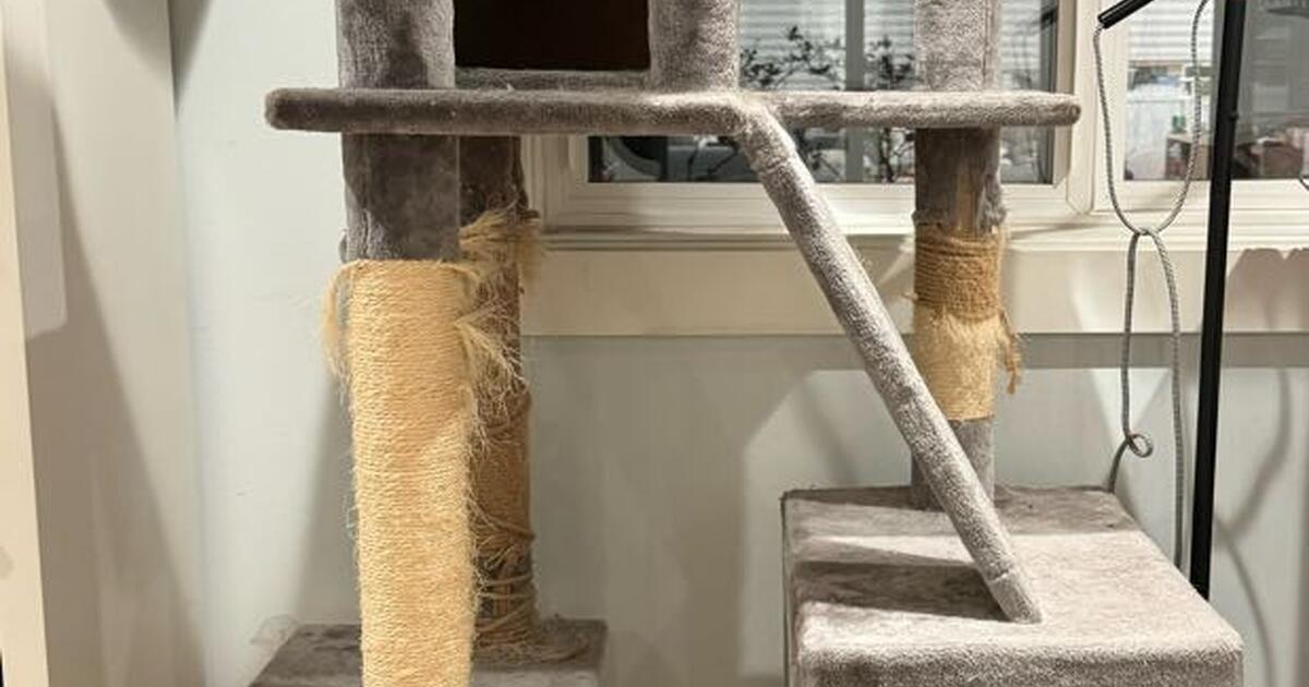 72 inch Cat tree fresco for $10 in Palo Alto, CA | For Sale & Free ...