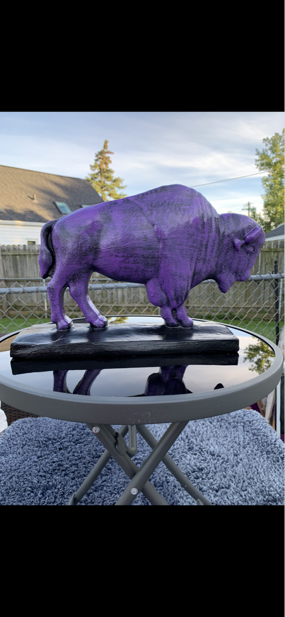 The purple buffalo for $45 in Cheektowaga, NY | For Sale & Free — Nextdoor