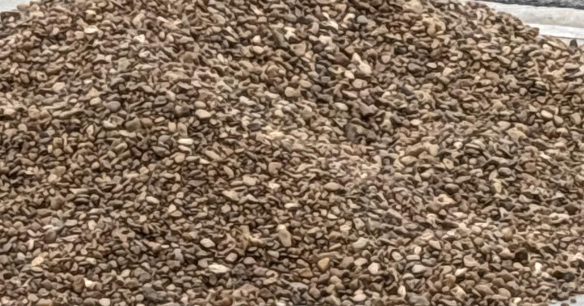 Colorado River rock 1 inch minus and decompose granite half inch for ...