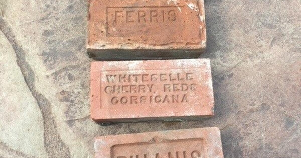 Vintage Bricks - Ferris, Whitecelle, D'Hanis for $1 in Fort Worth, TX ...